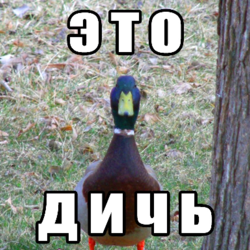 Иконка канала channel25072649