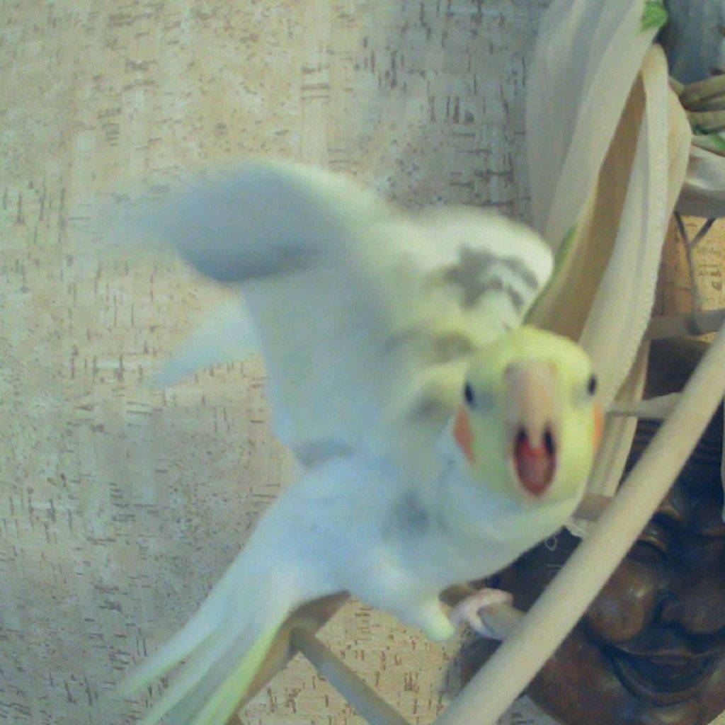 Иконка канала Маркшейдер на воле