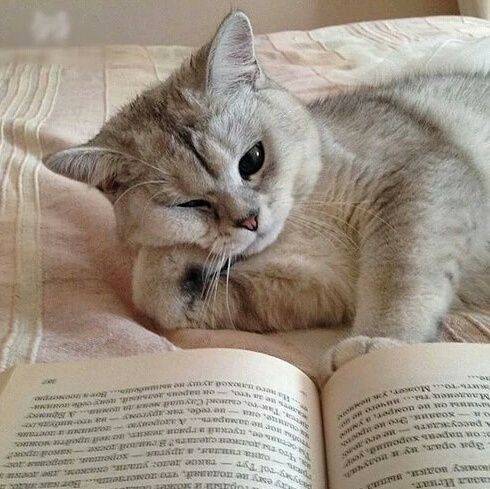 Иконка канала Марiя дочь Иванова