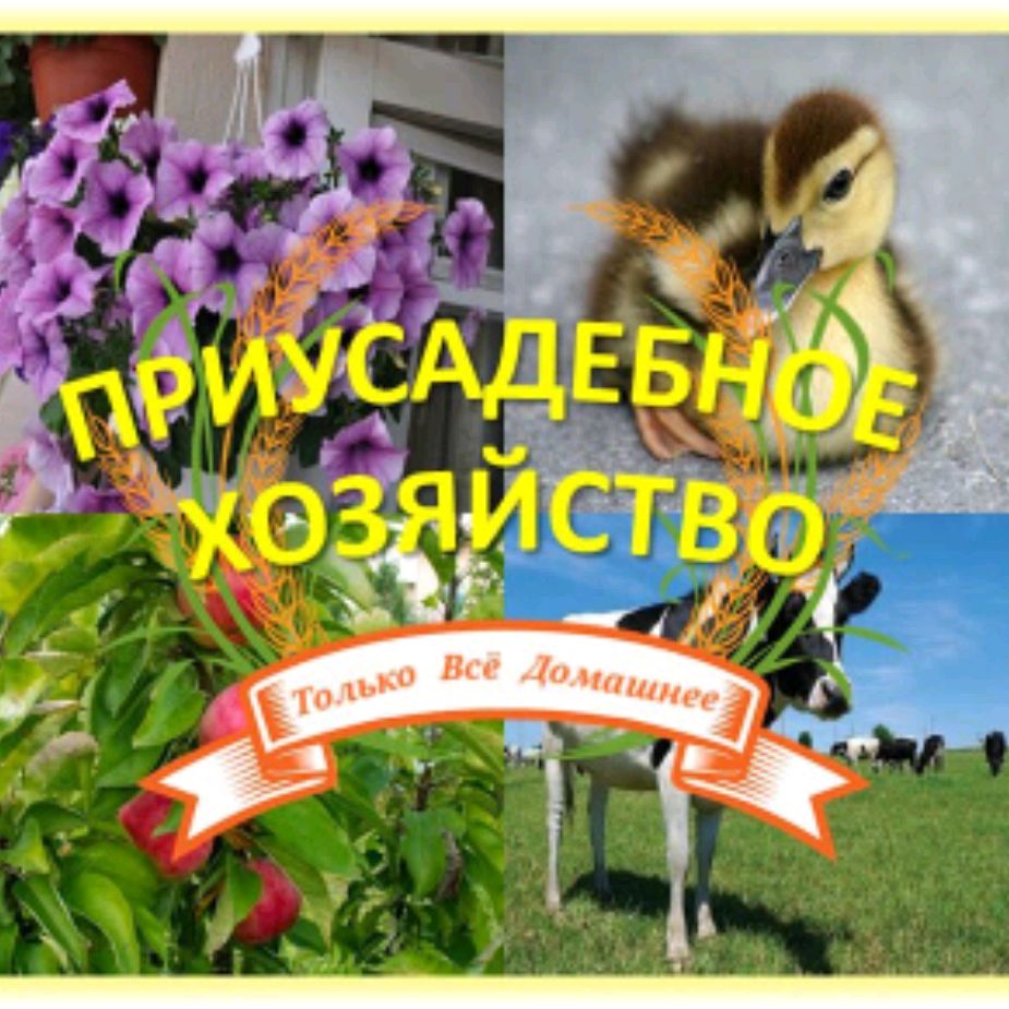 Иконка канала Приусадебное хозяйство