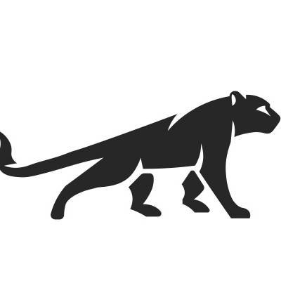 Иконка канала bestkaminy