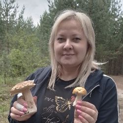 Иконка канала Media SPA channel +