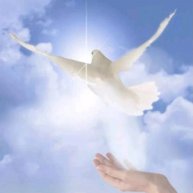 Иконка канала ArtLana