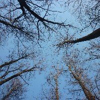 Иконка канала Арсений