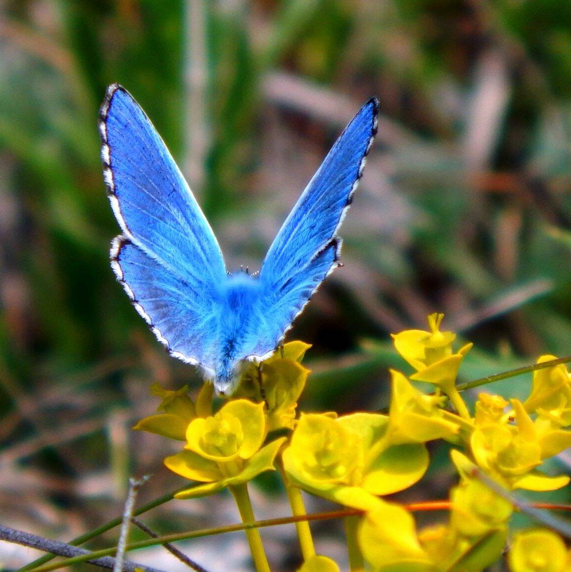 Иконка канала Арчибальд Крымский