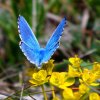 Иконка канала Арчибальд Крымский