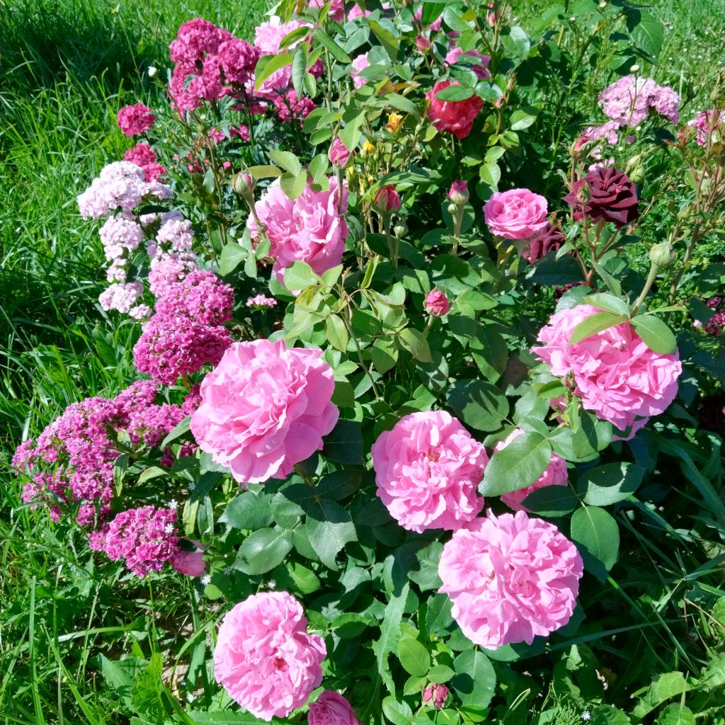 Иконка канала Наташина дача