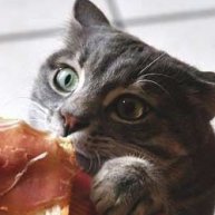 Иконка канала Людмила Плеханова Готовим вместе. Еда. Рецепты