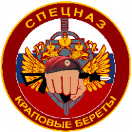 Иконка канала НГОО ВЛВ "Краповые береты"