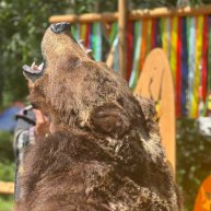 Иконка канала Сибирский маг-шаман Алексей Борисов