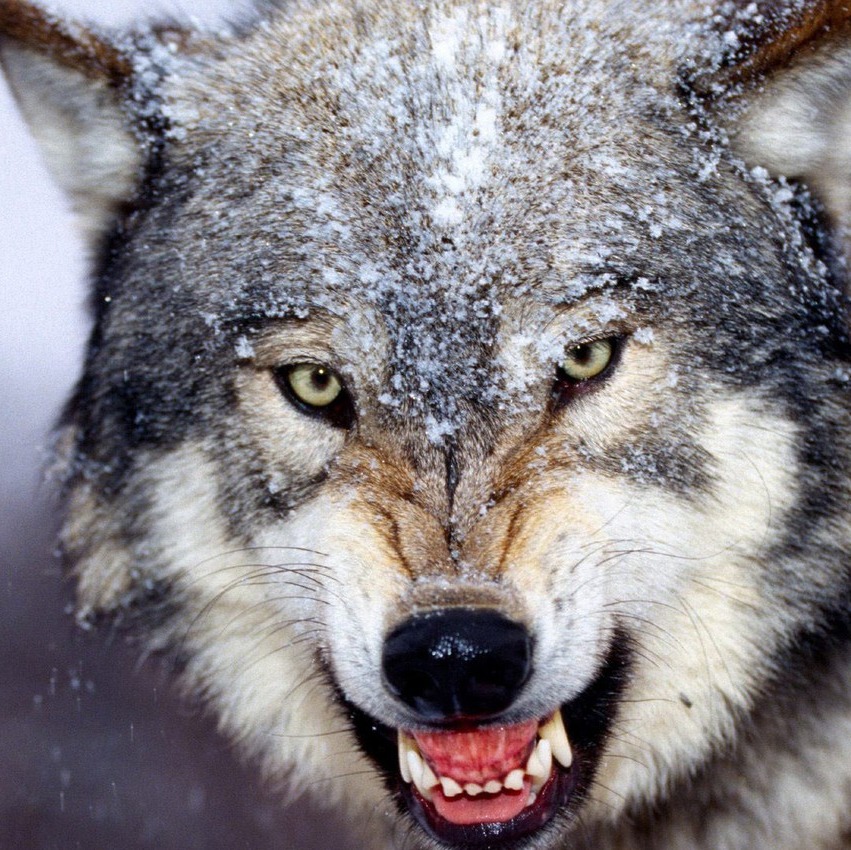 Иконка канала Ольга К.