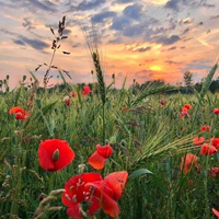 Иконка канала Слава Рассвет