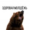 Иконка канала Правда Здоровья