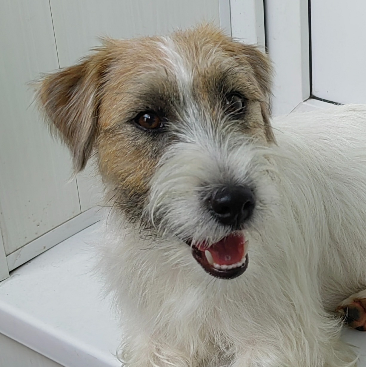 Иконка канала Не грусти