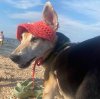 Иконка канала Zekudzze_Momo