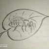Иконка канала Пасека на крыле