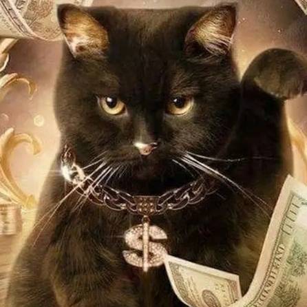 Иконка канала Денежный кот DIY