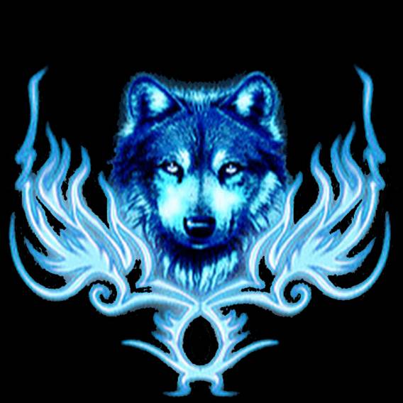 Иконка канала RinWolf