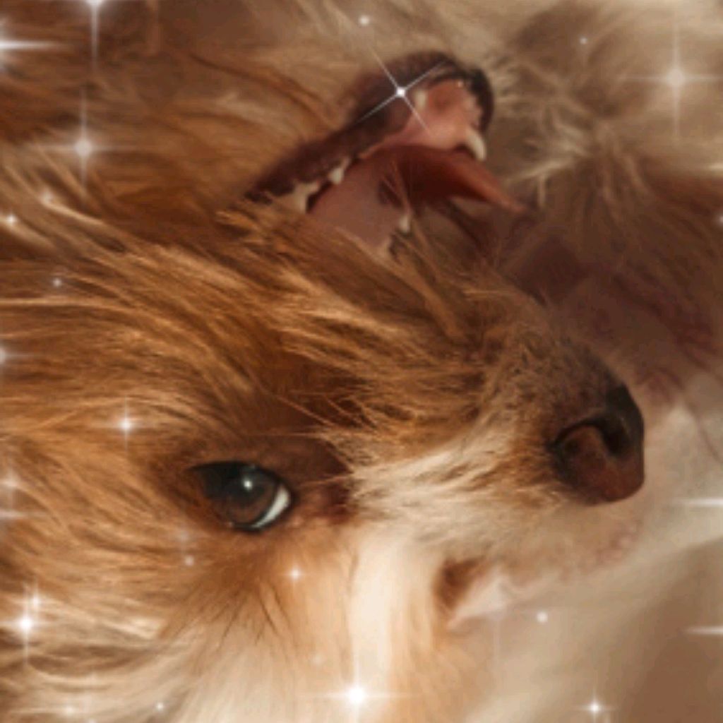 Иконка канала ✨Веlle?