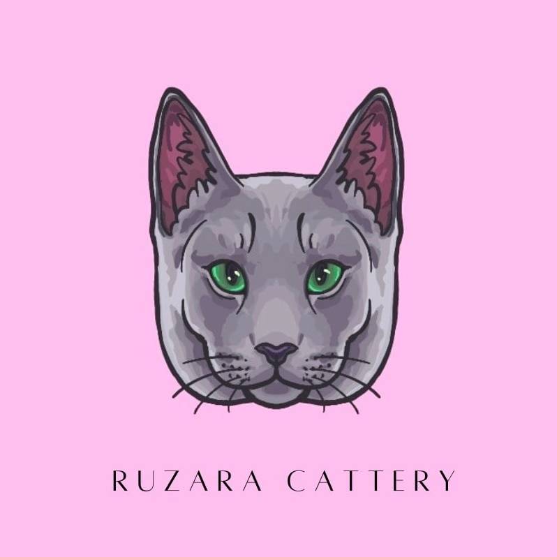 Иконка канала ruzaracattery