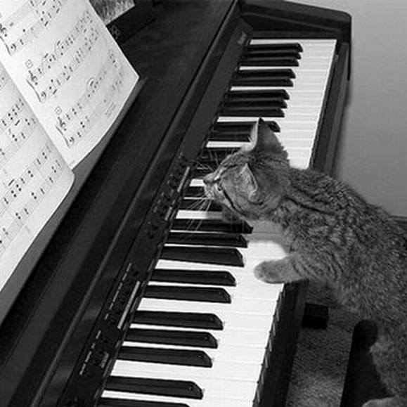 Иконка канала Дистанционное сольфеджио с Татьяной Сиротиной