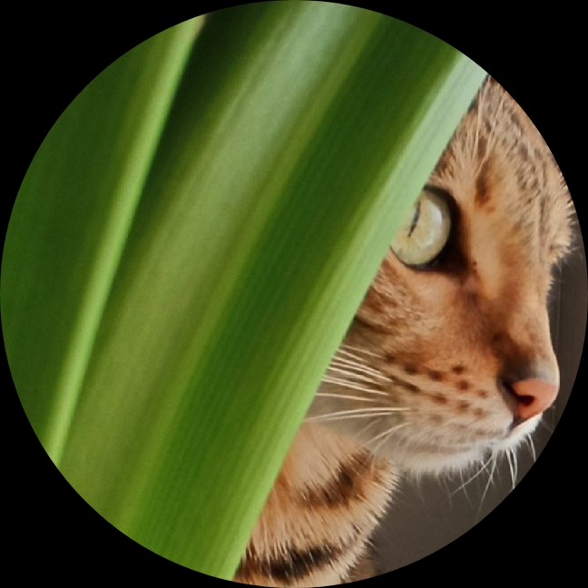 Иконка канала sios