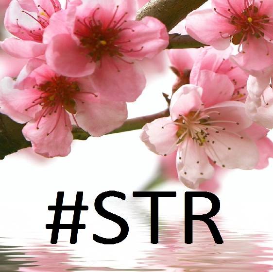 Иконка канала Студия творческого развития #STR