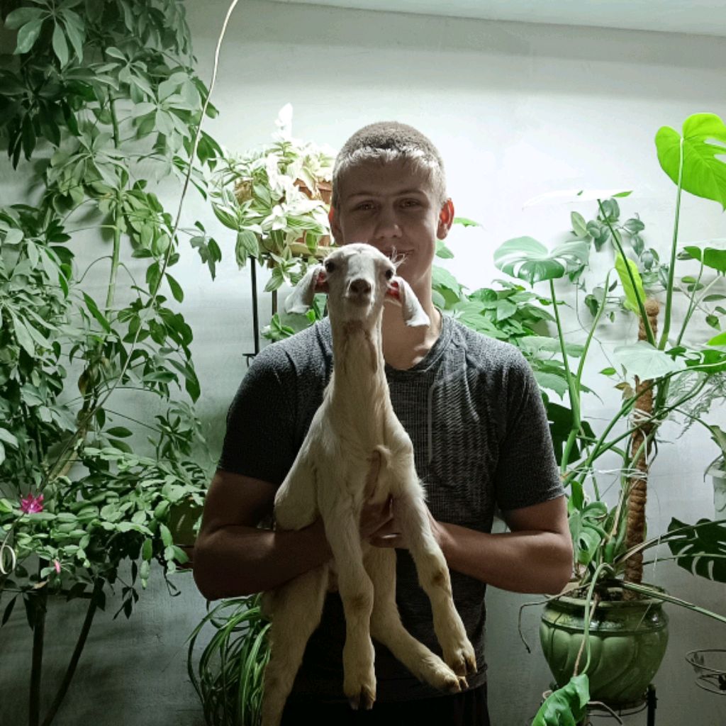 Иконка канала channel29128667