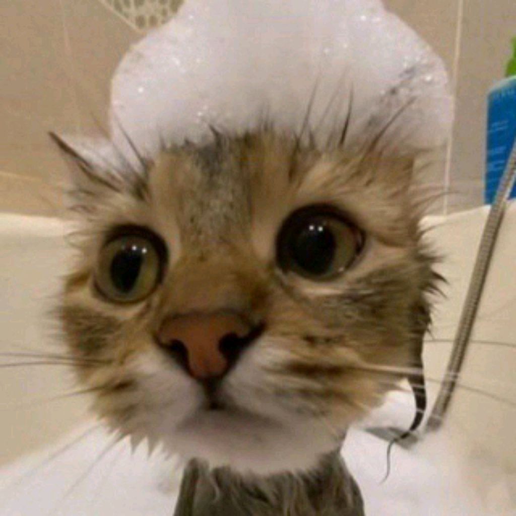 Иконка канала k2oto