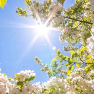 Иконка канала Евгения Язовская