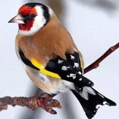 Иконка канала Путешествия в отпуске