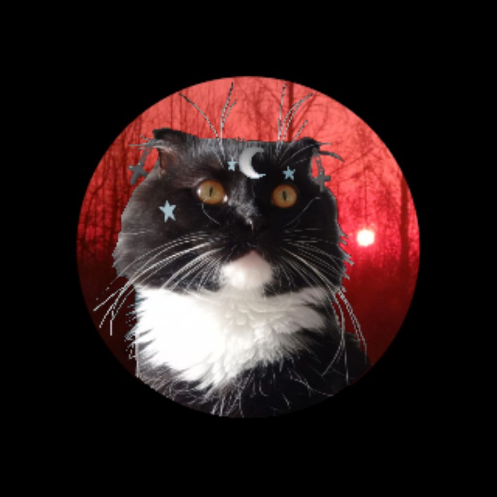 Иконка канала ♡︎Diksi♡︎