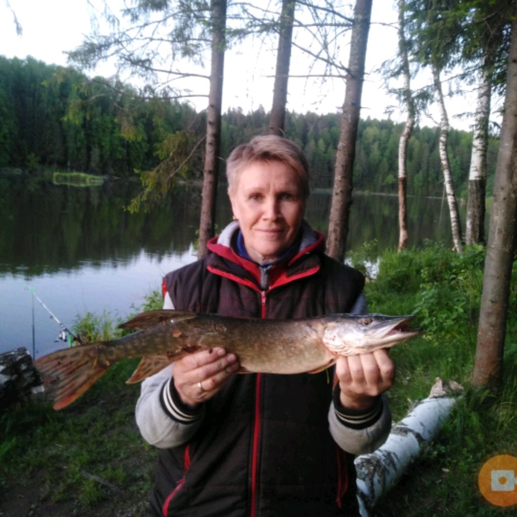 Иконка канала Zaiya64