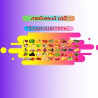 Иконка канала ЛЮБИМЫЙ САД и здоровье