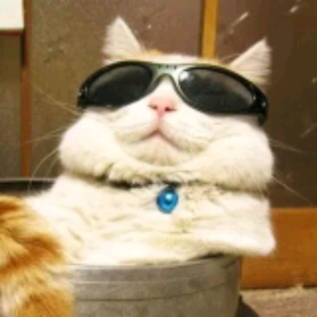 Иконка канала мемкульт