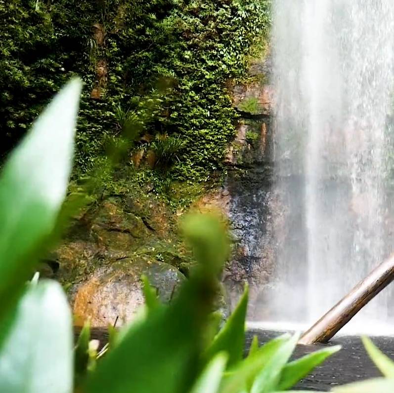 Иконка канала Relax