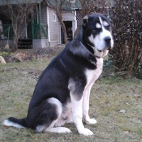 Иконка канала Марина Дунаева