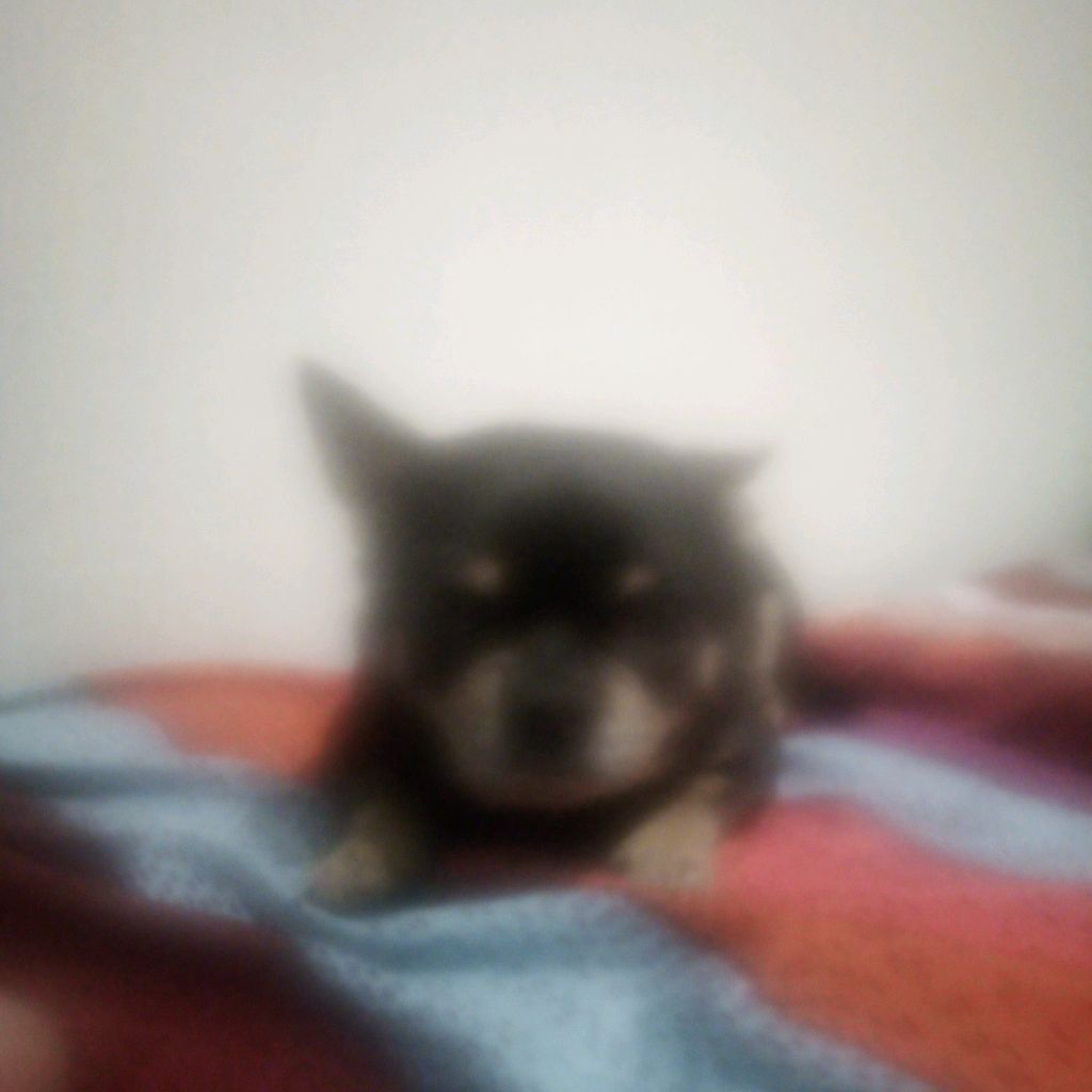 Иконка канала Найк