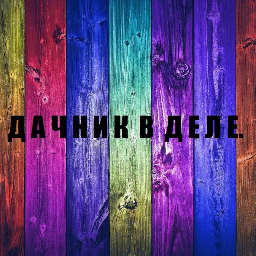 Иконка канала ДАЧНИК В ДЕЛЕ