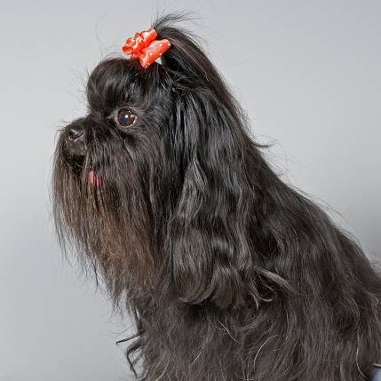 Иконка канала Цветная Забава