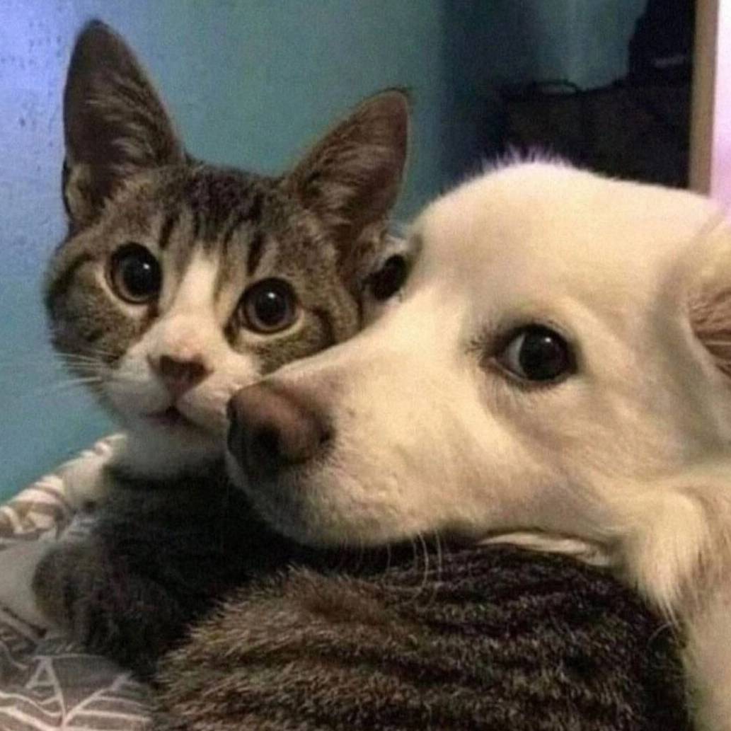 Иконка канала Александр Федоров