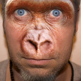 Иконка канала juifneandertal