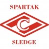 Иконка канала Спартак-следж. Хоккей. Особенные дети. Spartak