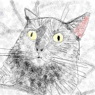 Иконка канала tramwayz