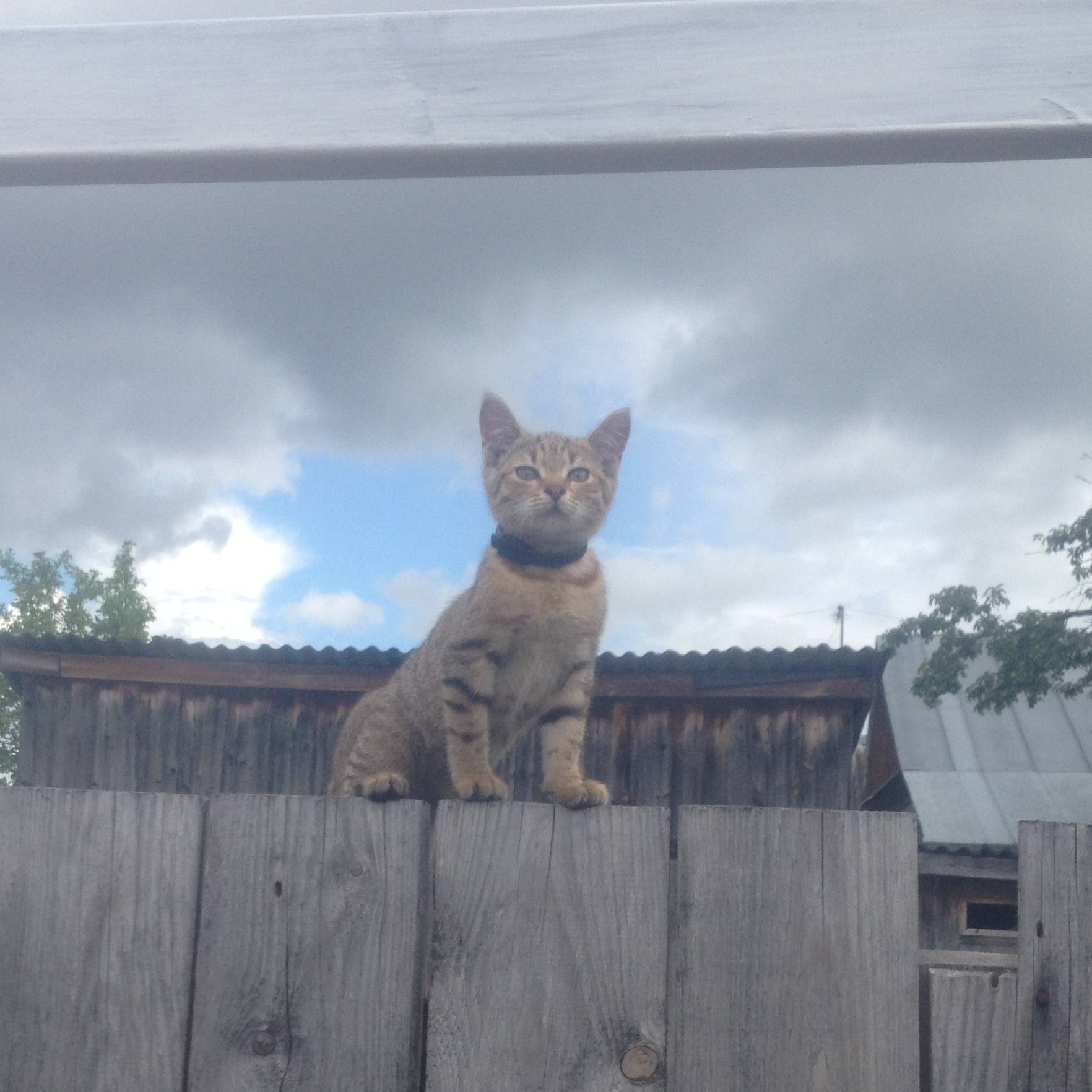 Иконка канала гаражные дела 50rus.