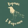 Иконка канала Вороны в Карелии