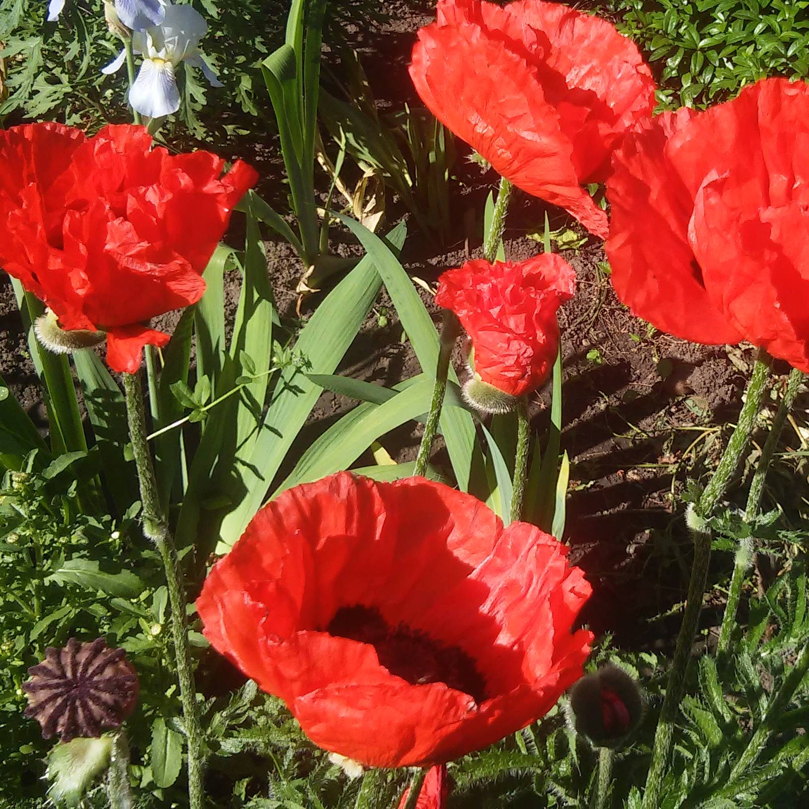 Иконка канала Любимый зятёк