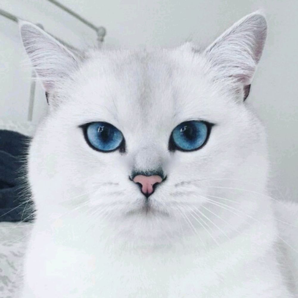 Иконка канала channel29846839