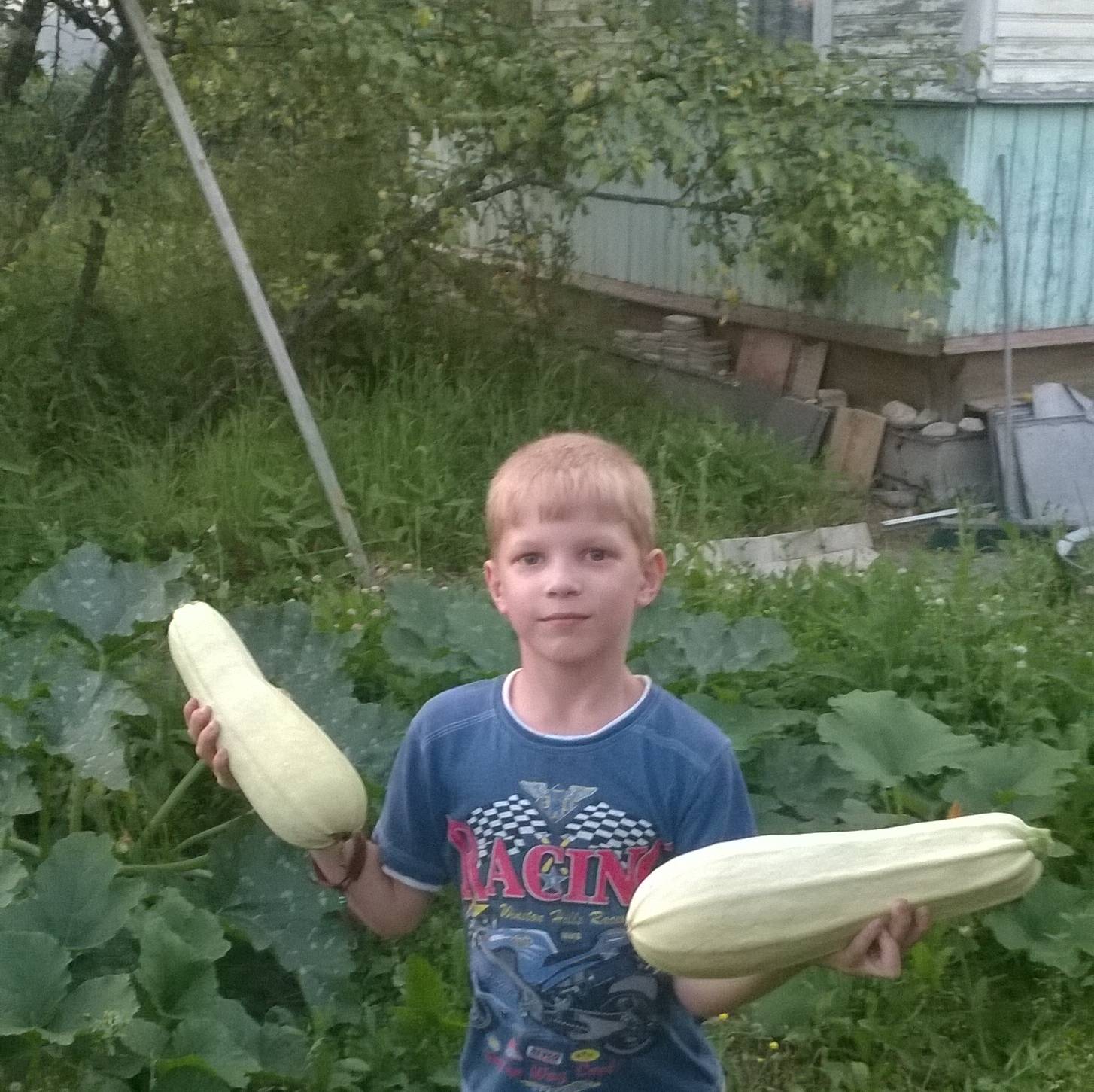 Иконка канала Все дома