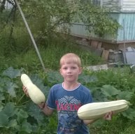 Иконка канала Все дома